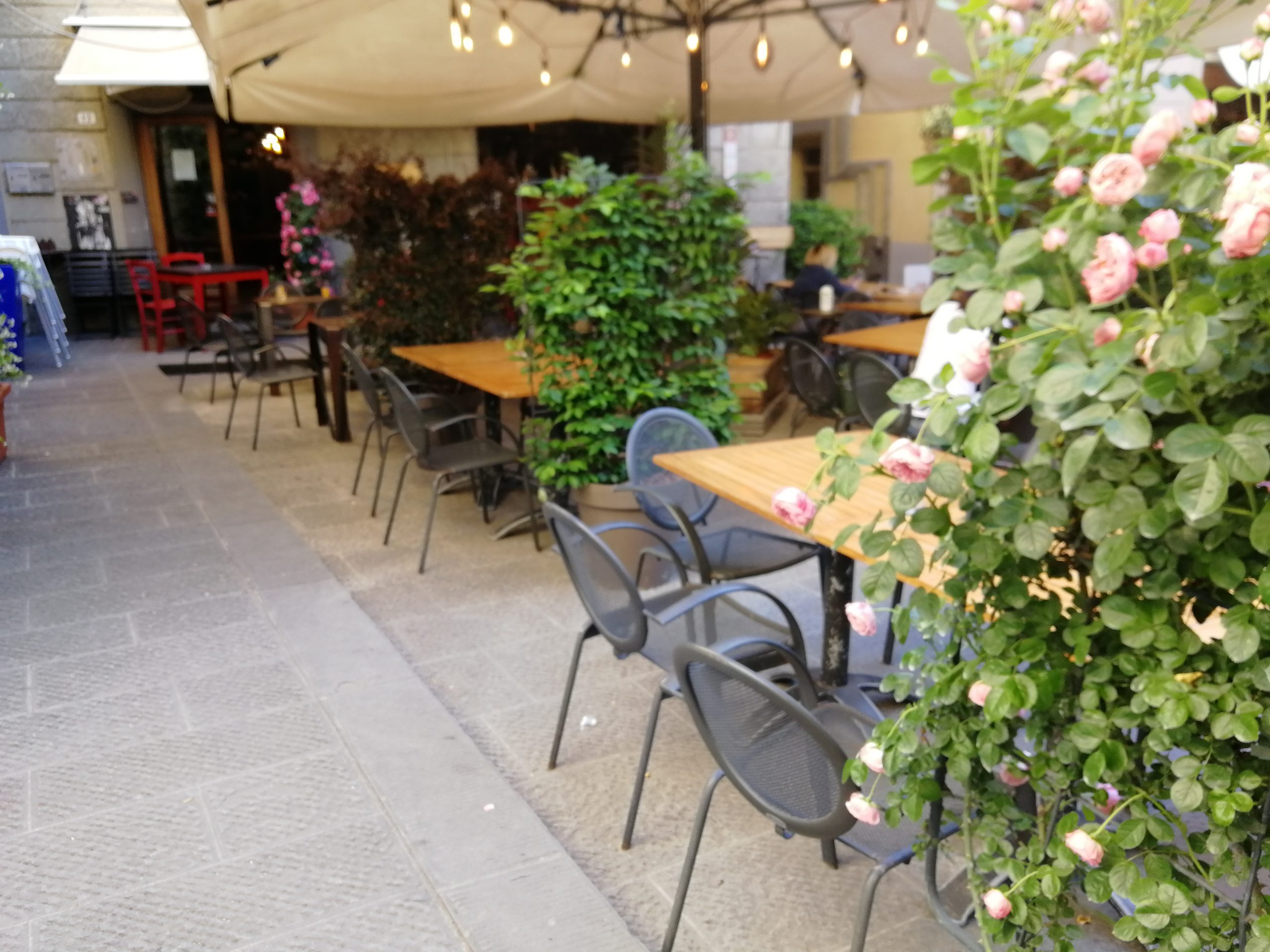 Pomysł właścicieli szkółek roślinnych z Pistoi na ścianki działowe w ...